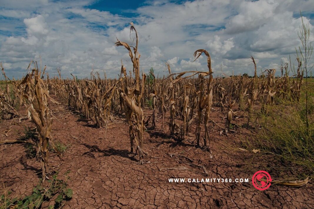 Top 5 Actions That Make a Real Impact on Climate