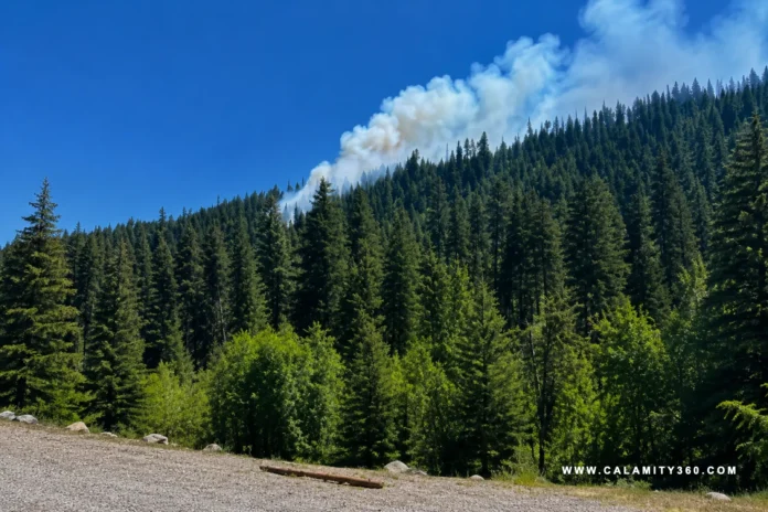 Wildfire Erupts After Fighter Jet Crash Near Rimrock Lake